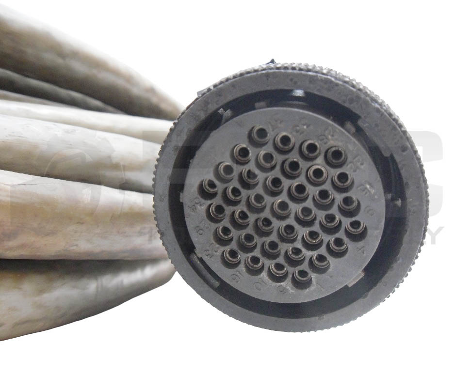 BELDEN 8118 AWM 2919 CORDSET, W/ 206150-1 FEMALE AND MALE AMP CONNECTOR ...